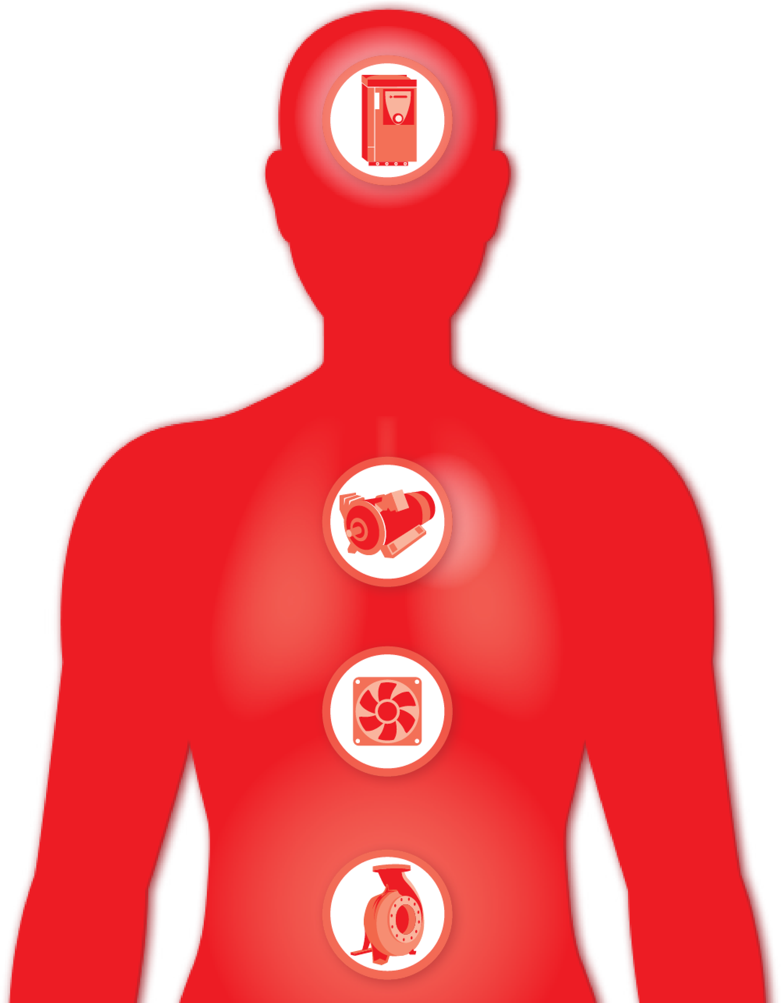 Motion Amplification Services